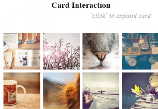 20+ Best CSS Cards 2024 Free HTML Designs for