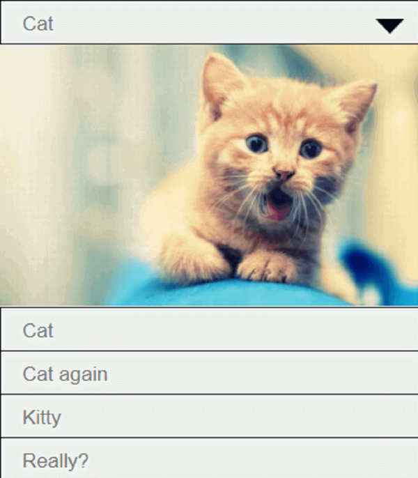 15 Best Css Accordions 2024 Free Html Designs