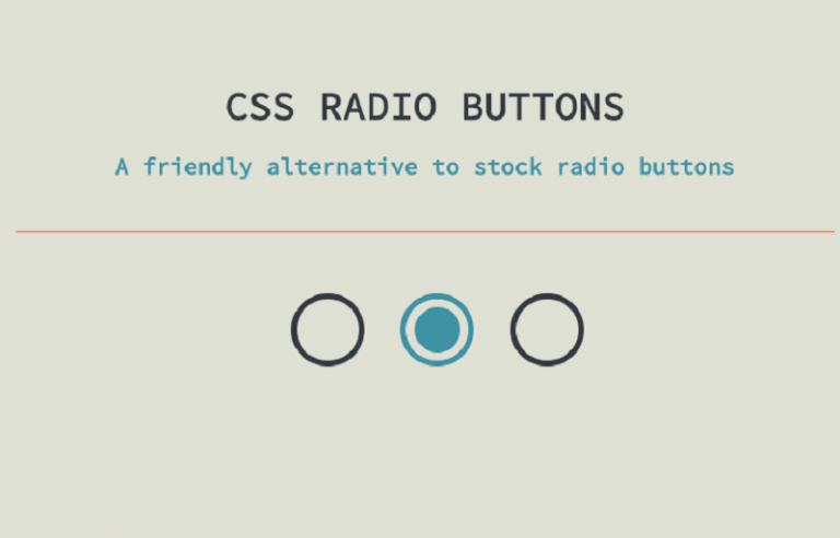 20+ CSS Radio Buttons 2019 Free HTML Designs