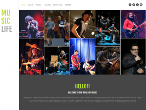 22 Best Free Music Html Website Templates 2024 For Music Lover