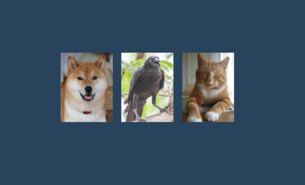 20+ Best Css Sliders 2025 -----Free HTML Designs