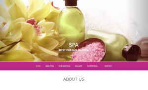 33 Best Free Spa Salon HTML Website Templates 2025 – free html design