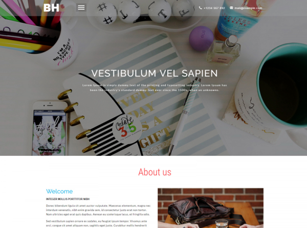 39 Free Business Html Website Templates of this year