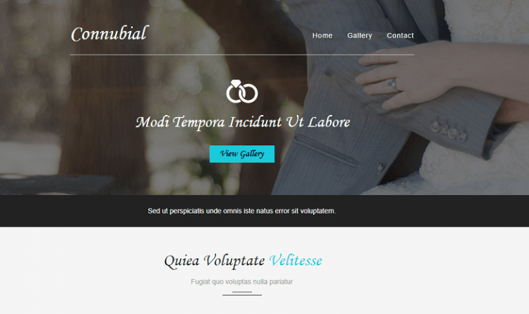 33 Best Free Wedding Html Website Templates 2024