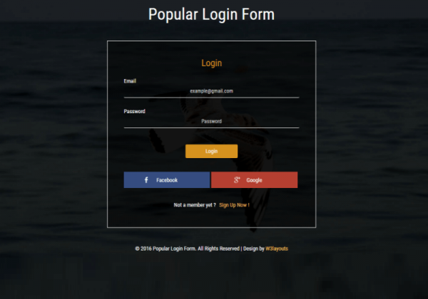 40 Best Free HTML5 Form Templates 2024 Login & Signup Forms