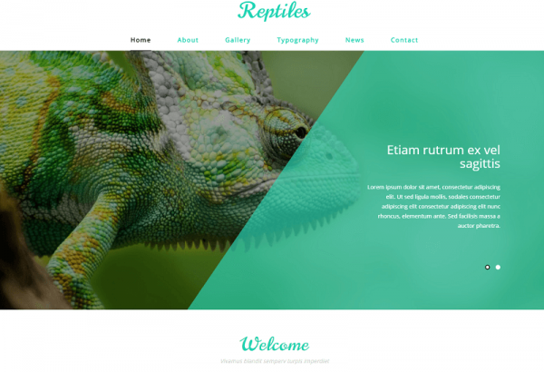 32 Best Free Animals & Pets Html Website Templates 2025