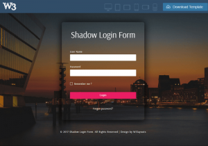 40 Best Free HTML5 Login Form Templates 2024 For web applications