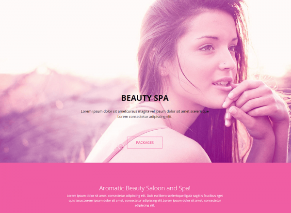33 Best Free Spa Salon HTML Website Templates 2025 – free html design