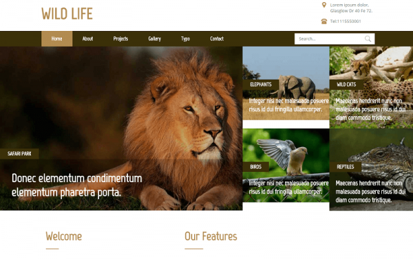 32 Best Free Animals & Pets Html Website Templates 2025