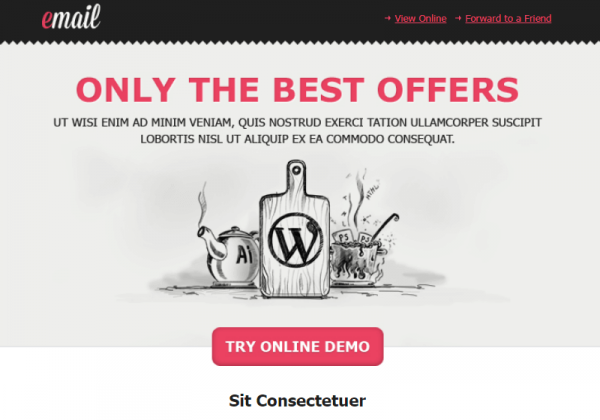 30 Best Free Email Templates 2024 Free Html Designs