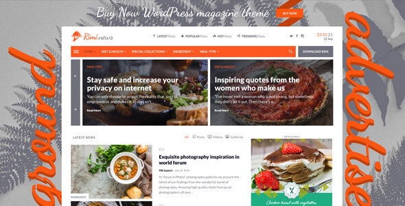 30+ Best AdSense Ready Wordpress Themes