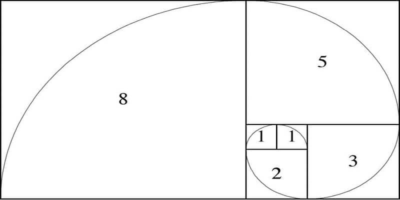 Let’s Learn Fibonacci Sequence In An Interacting Way