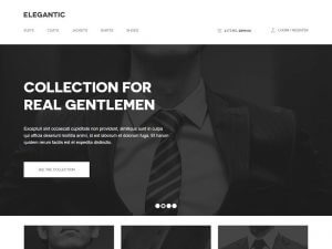 Best Free Minimal HTML Website Templates | Download Now